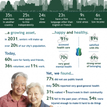 How Age-Friendly is Ottawa? An Evaluation Framework to Measure the Age ...